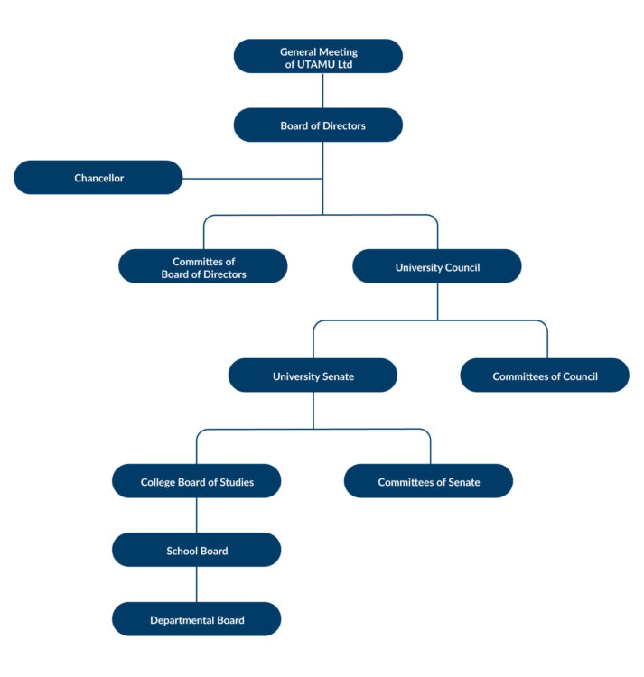 Governance Structure - UTAMU